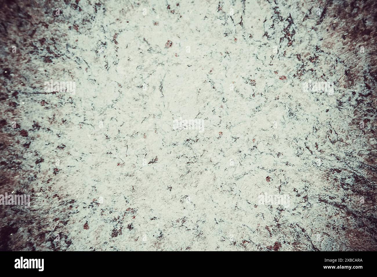 Abstract texture with a rough, speckled pattern in greenish and gray ...