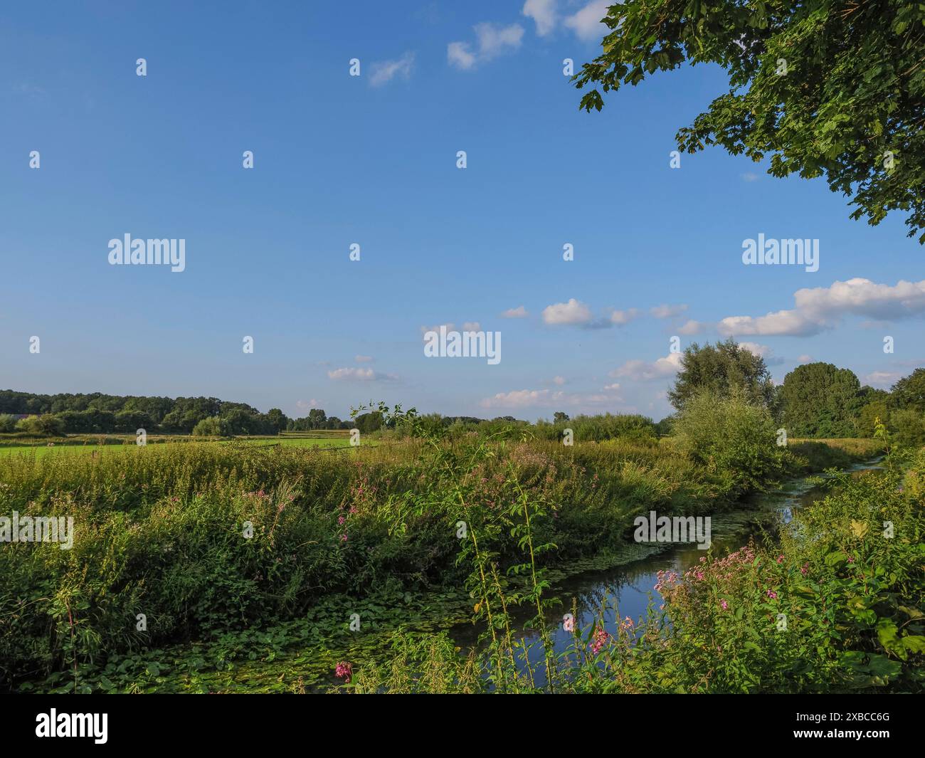 Natural landscape with river and lush vegetation under a blue sky ...