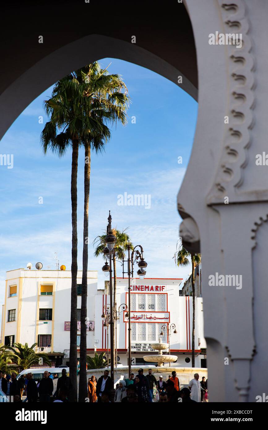 Tangier morocco garden hi-res stock photography and images - Alamy