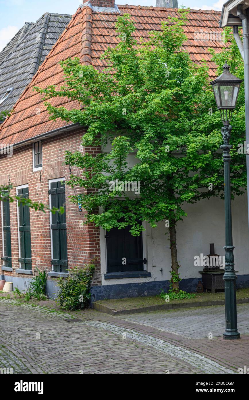Old brick house with red bricks and green shutters on a quiet street ...