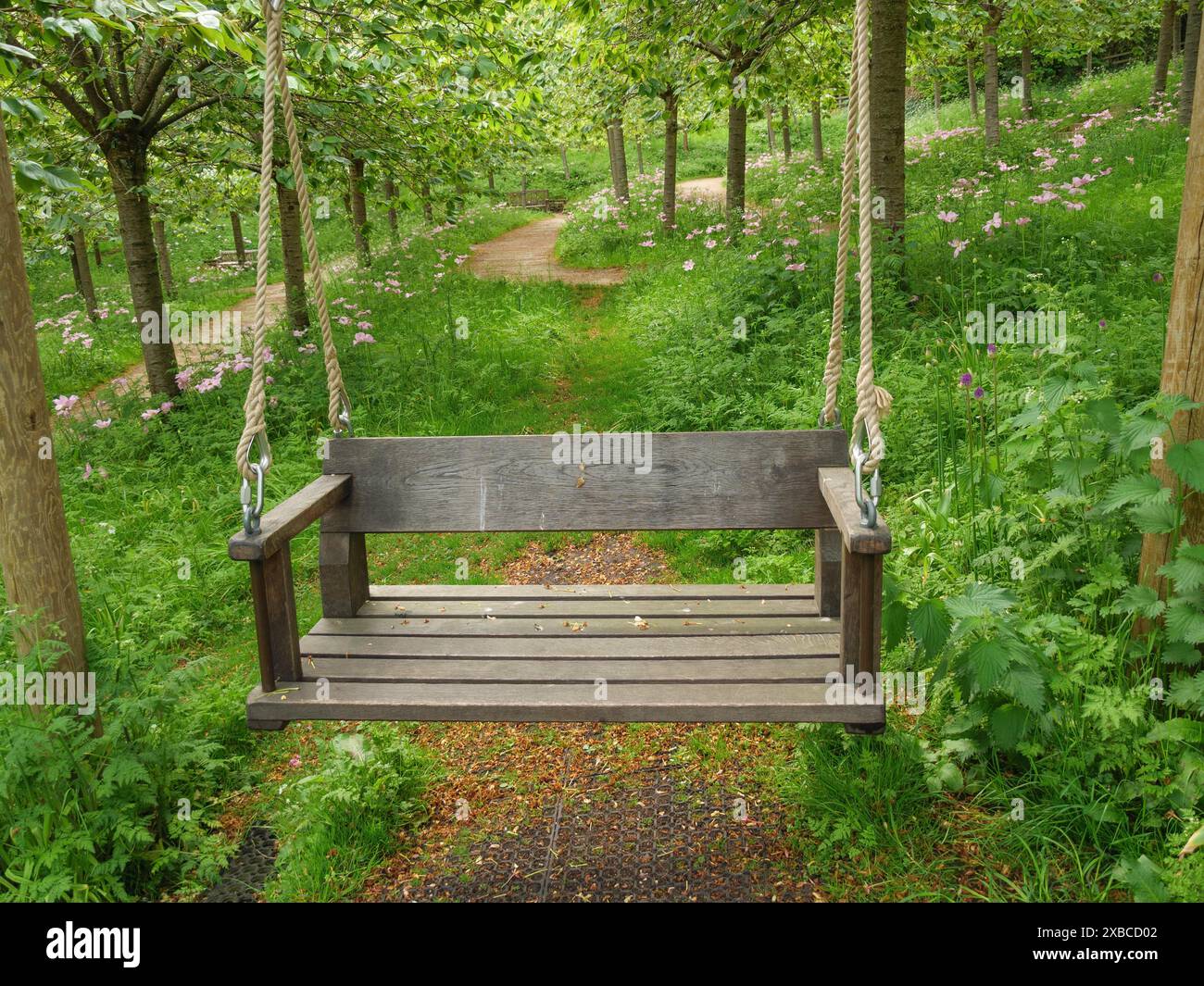 Wooden swing in a quiet forest with green trees and a path in the ...
