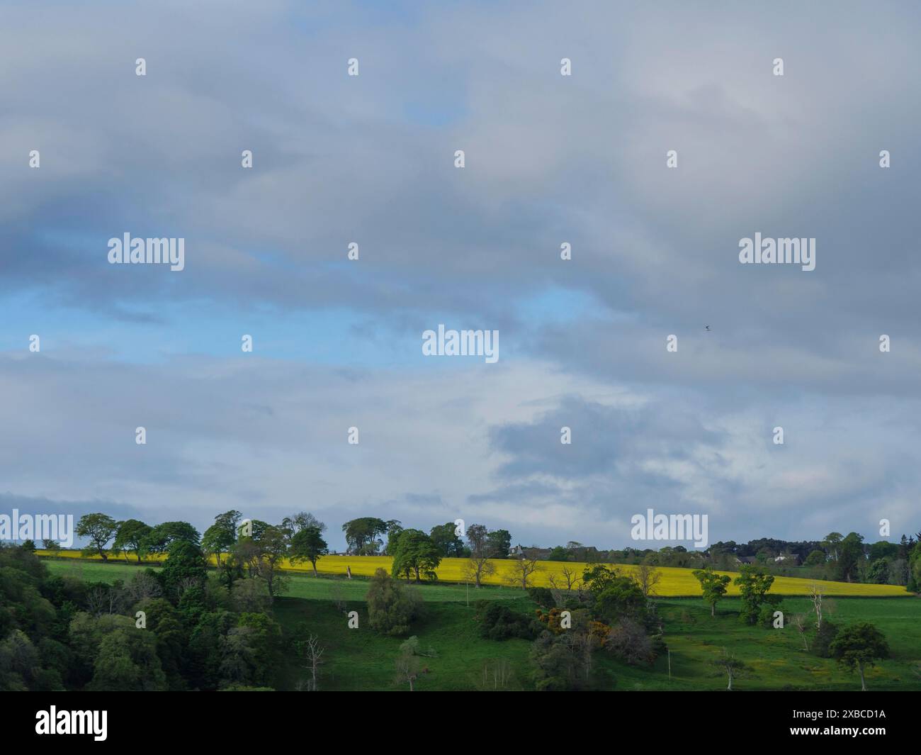 Wide landscape with fields and trees under a cloudy sky and the first ...