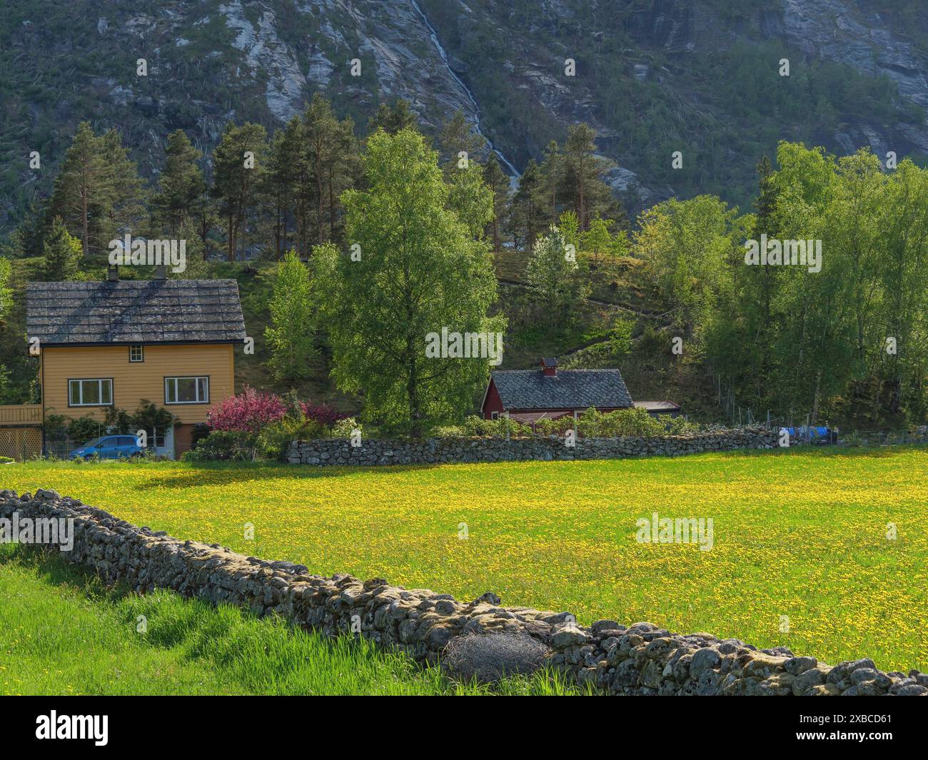 Rural house with colourful vegetation and yellow flowers in a meadow ...