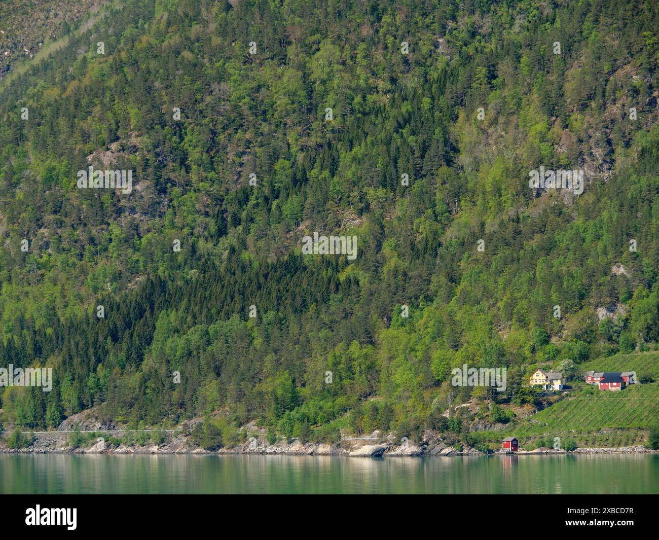 Landscape hilly northern shore hi-res stock photography and images - Alamy