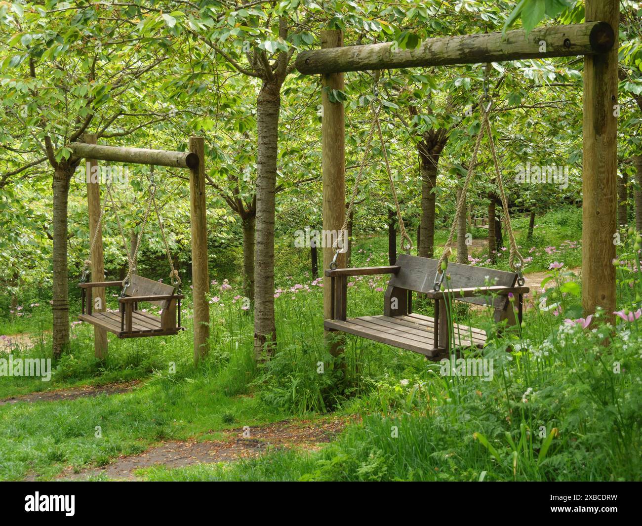Two wooden garden swings hanging from a frame in the forest under green ...