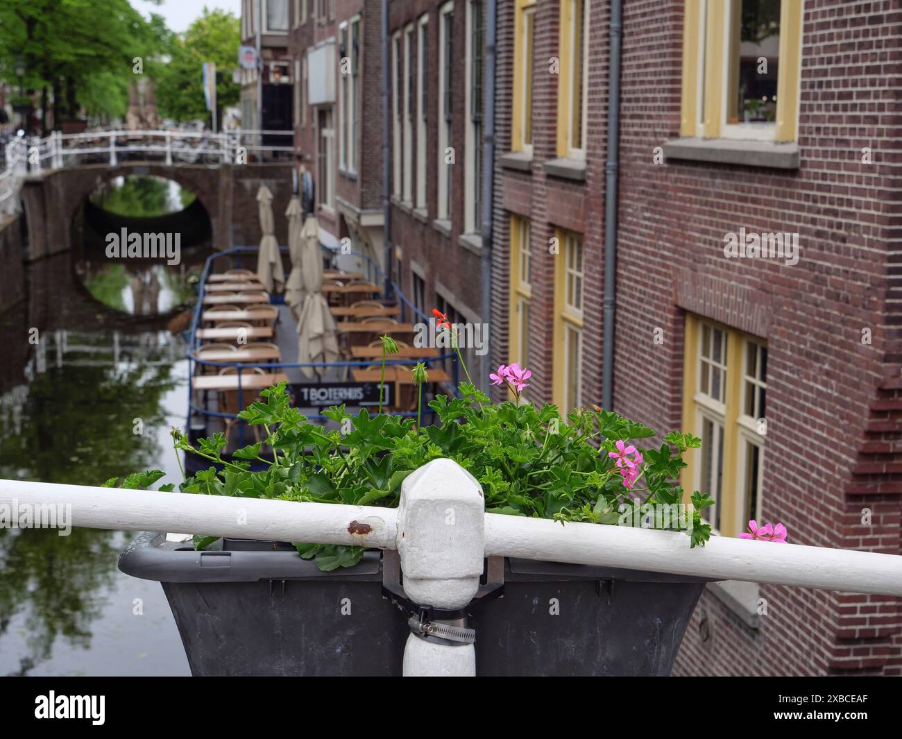 Flower arrangement with a view of a canal and a boat under a bridge ...
