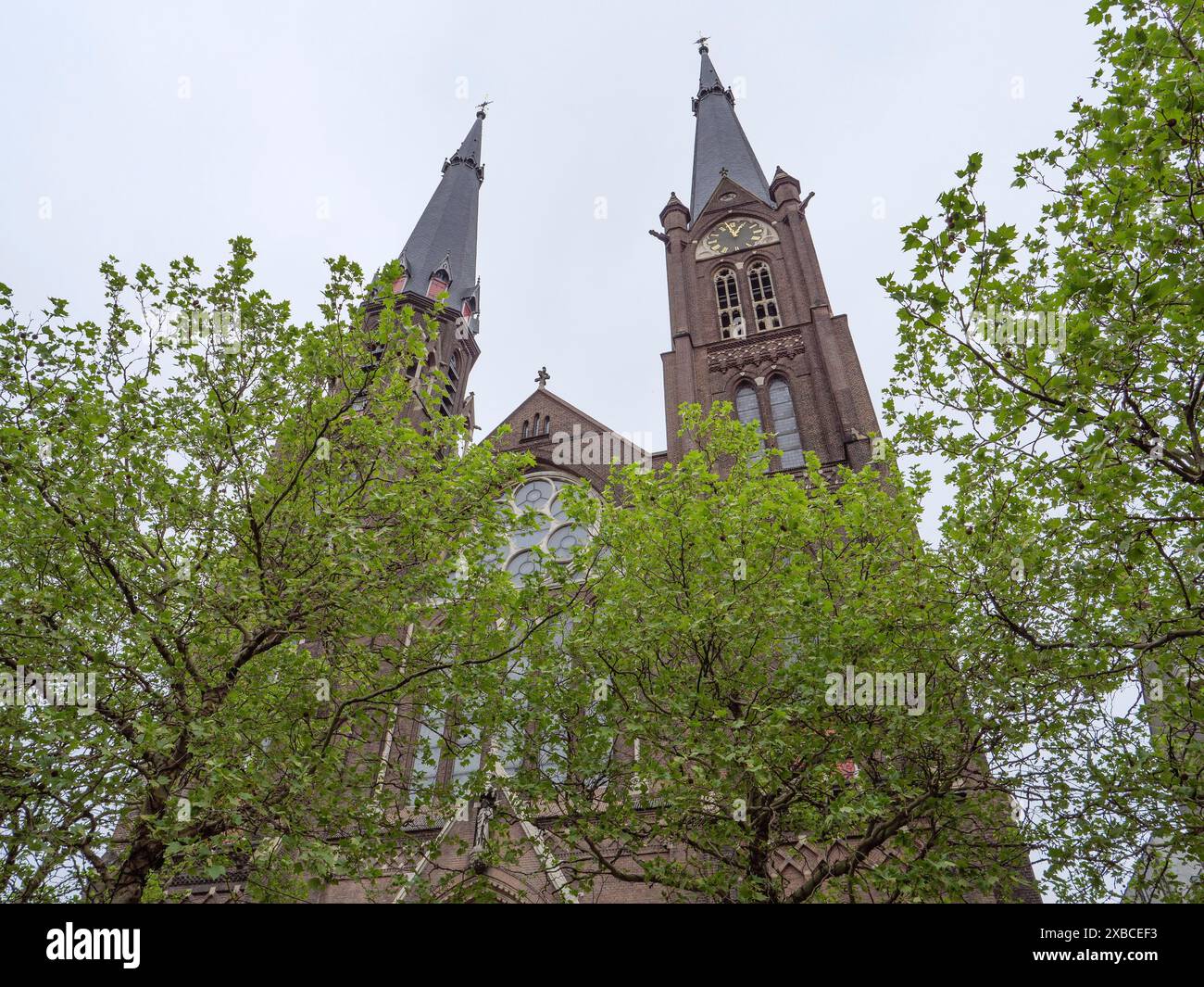 Gothic church towers behind blossoming trees under a cloudy sky, Delft ...