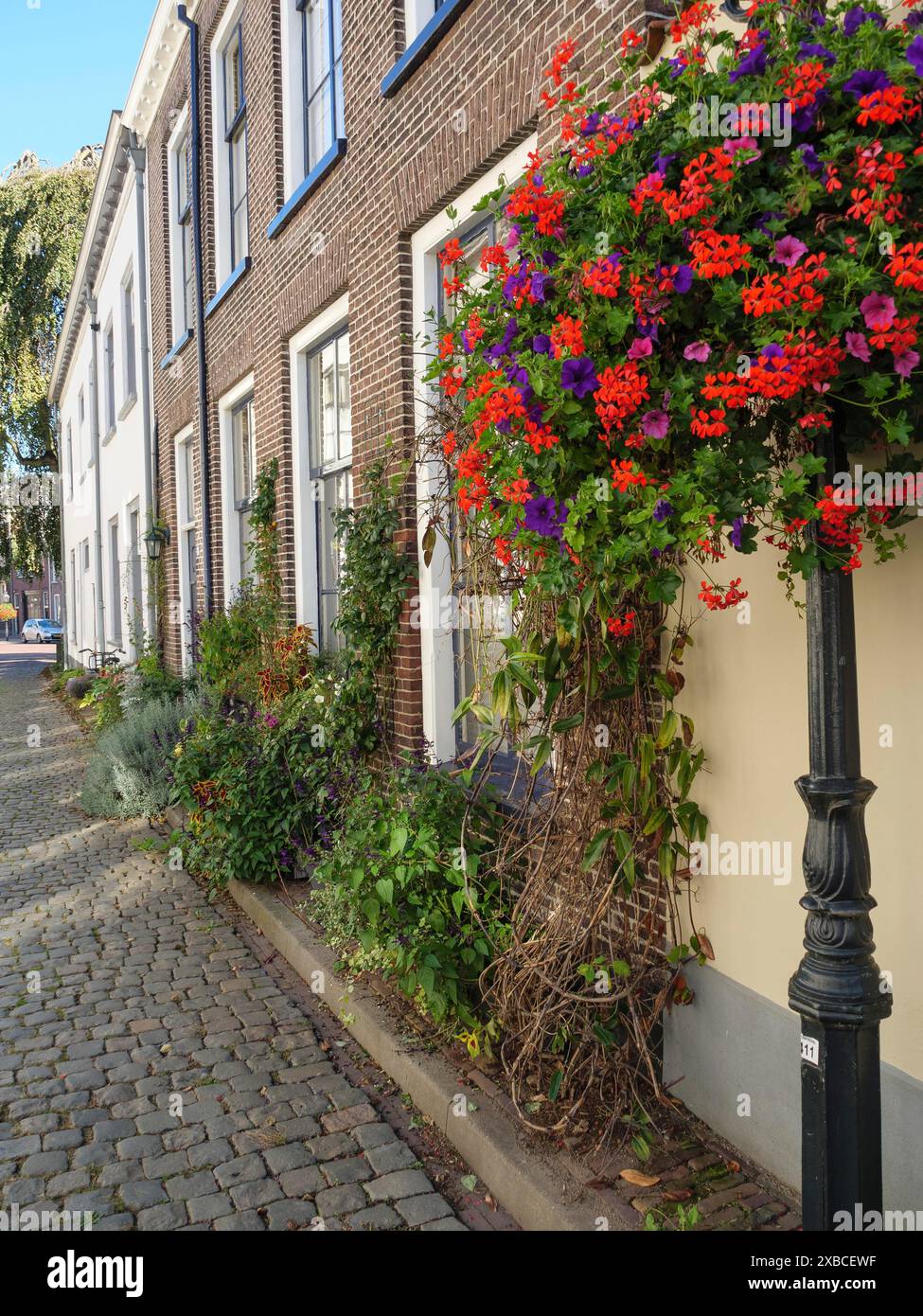 Narrow street with planted house fronts and blooming flowers on a ...