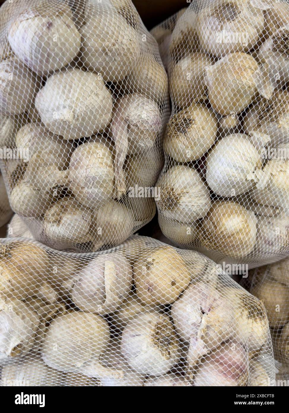 Garlic cloves Garlic (Allium sativum) Leek plant Knofel, Knobloch ...