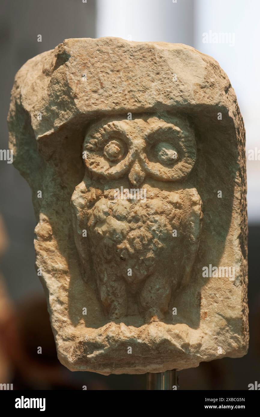 Owl of Athena, stone statue, symbol of wisdom, Acropolis Museum, Athens ...
