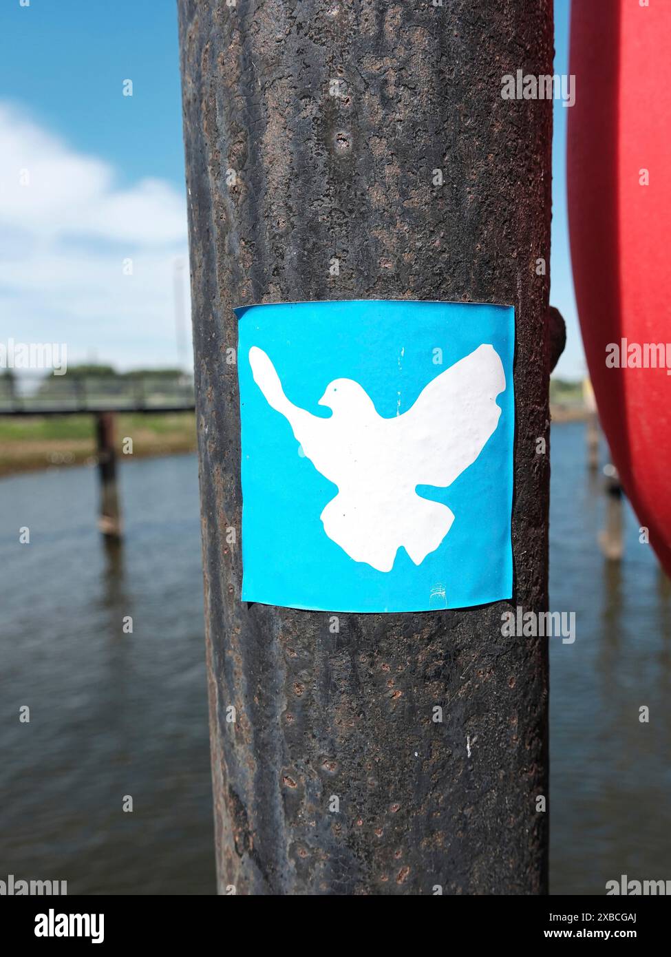 Sticker with dove as a symbol of peace, vintage, blurred background ...
