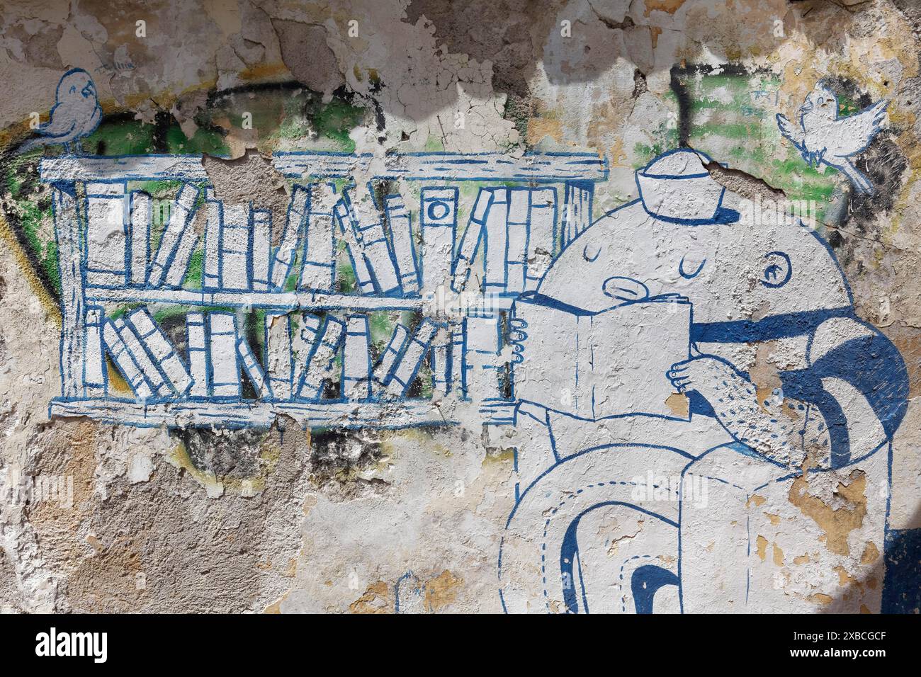 Reading in front of graffiti hi-res stock photography and images - Alamy