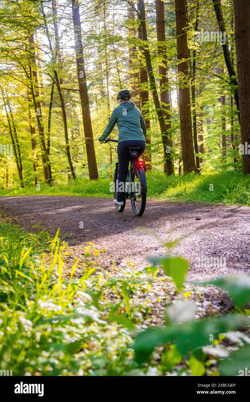 A person rides on a forest path, the sun shines through the dense trees ...