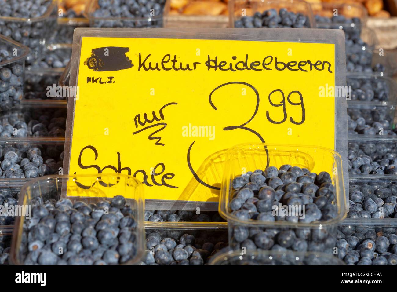 Fresh blueberries in trays with price tag on a market stall, Bremen ...