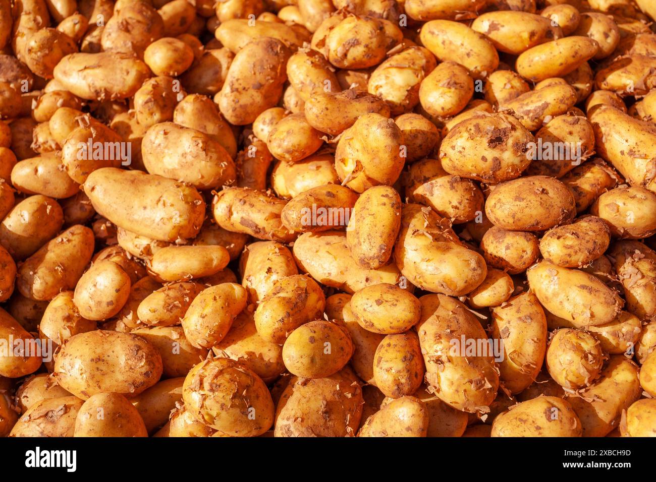 Fresh potatoes on a market stall, Bremen, Germany Stock Photo - Alamy