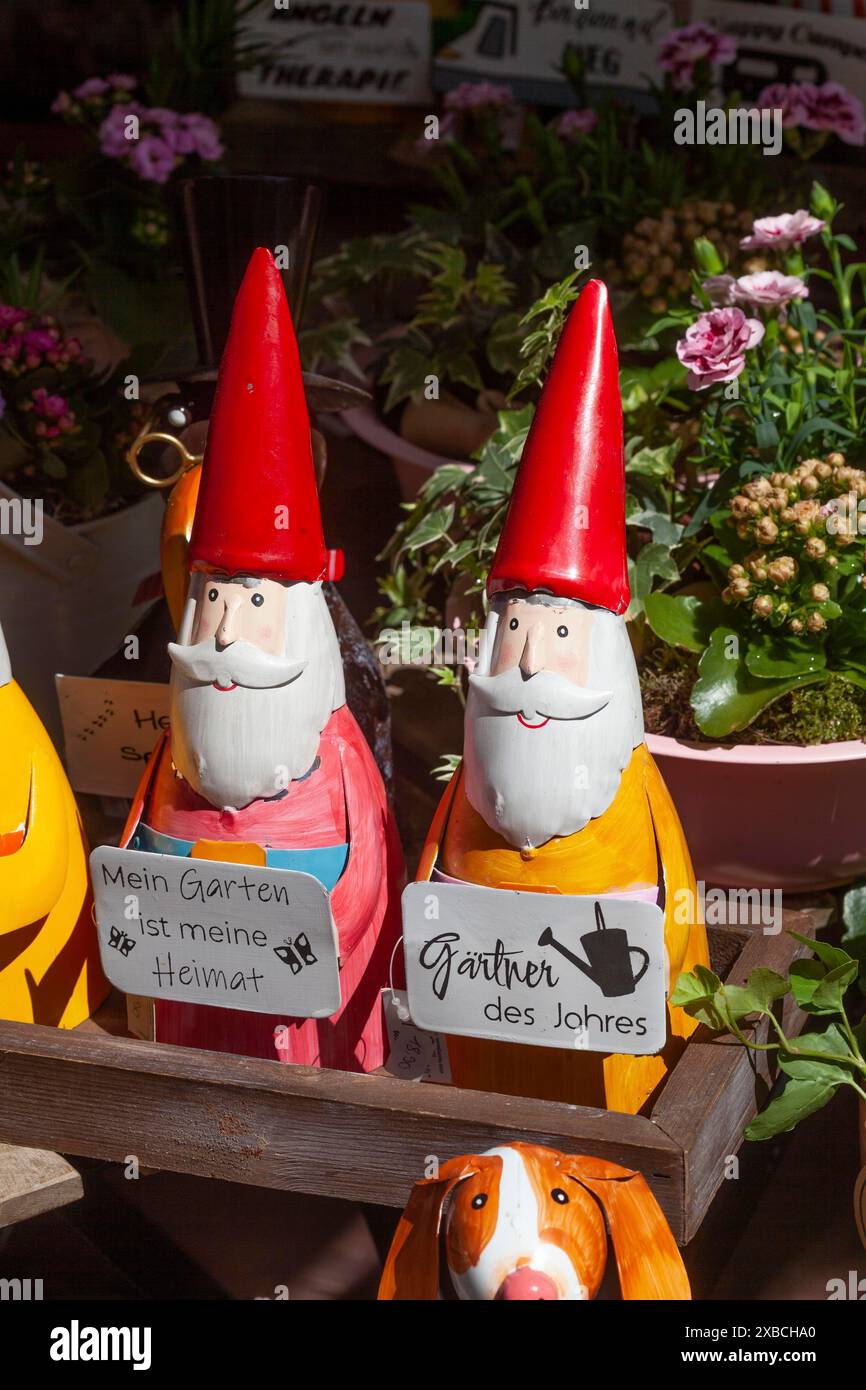 Colourful garden gnomes in front of a shop, Leer, East Frisia, Germany ...