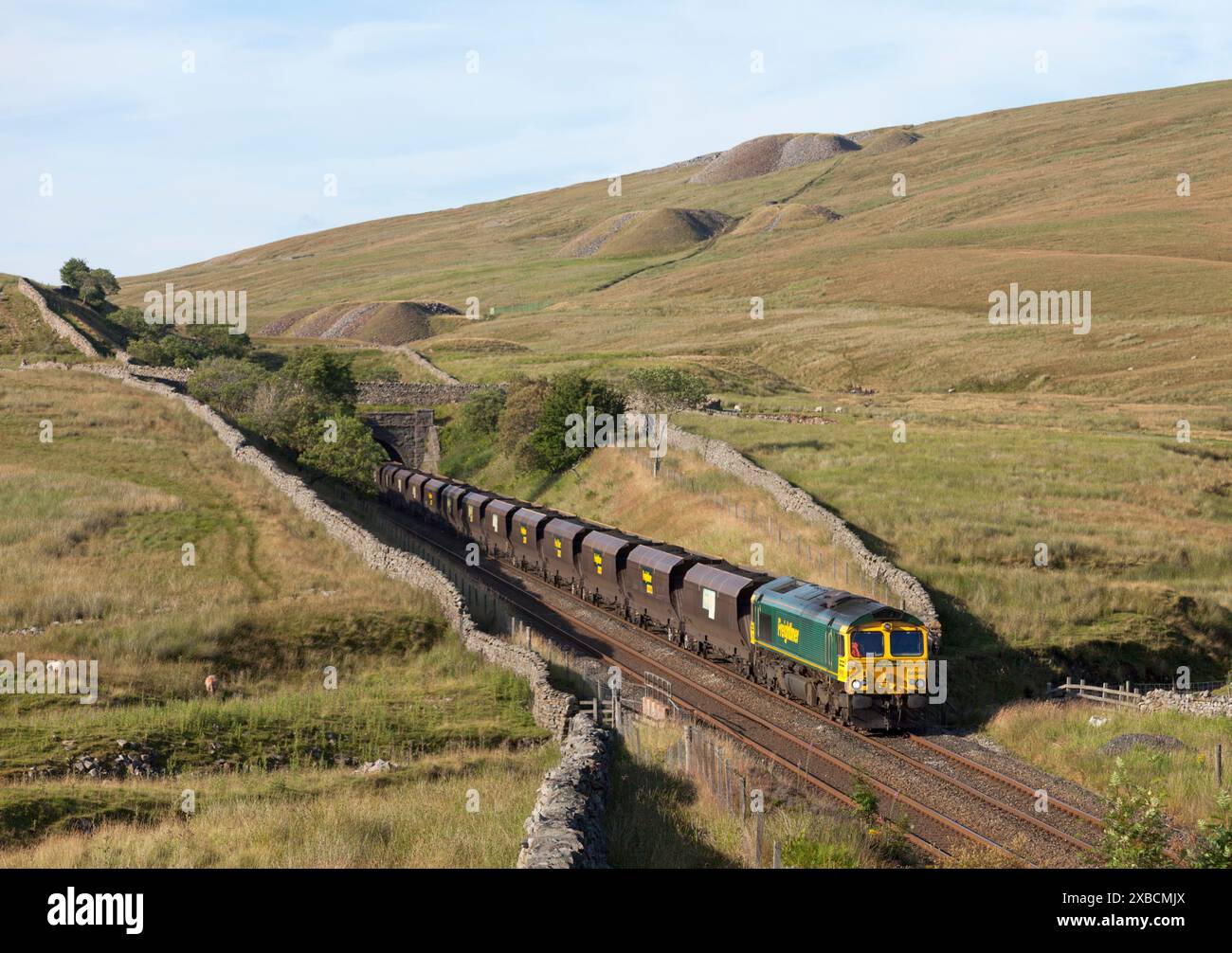 Freightliner class 66 locomotive 66569 passing Blea Moor (north of ...
