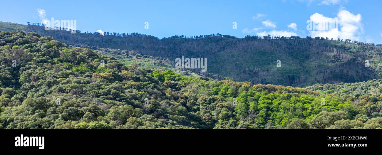 Wonderfull landscape of Genal valley in Sierra de las Nieves National ...