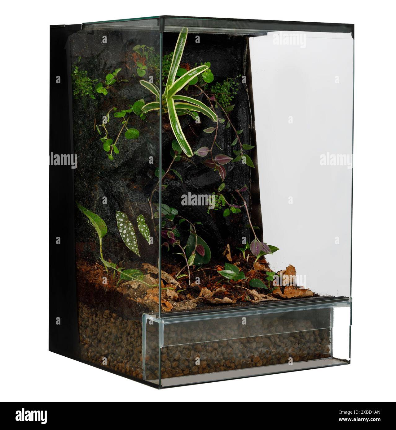 Terrarium aesthetic hi-res stock photography and images - Alamy