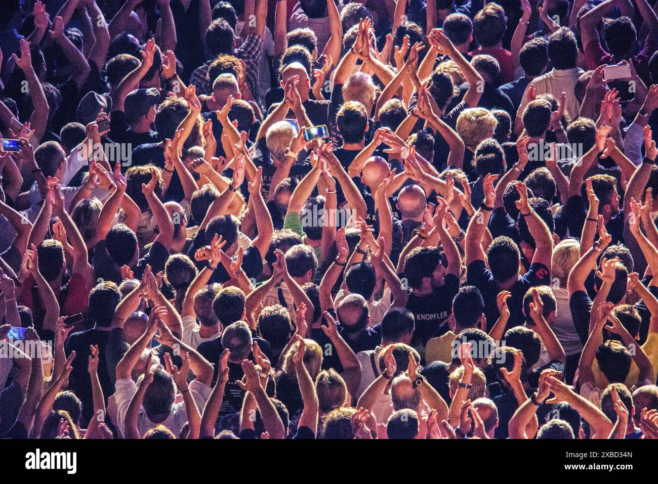 A vibrant crowd of people cheering and applauding at a concert ...
