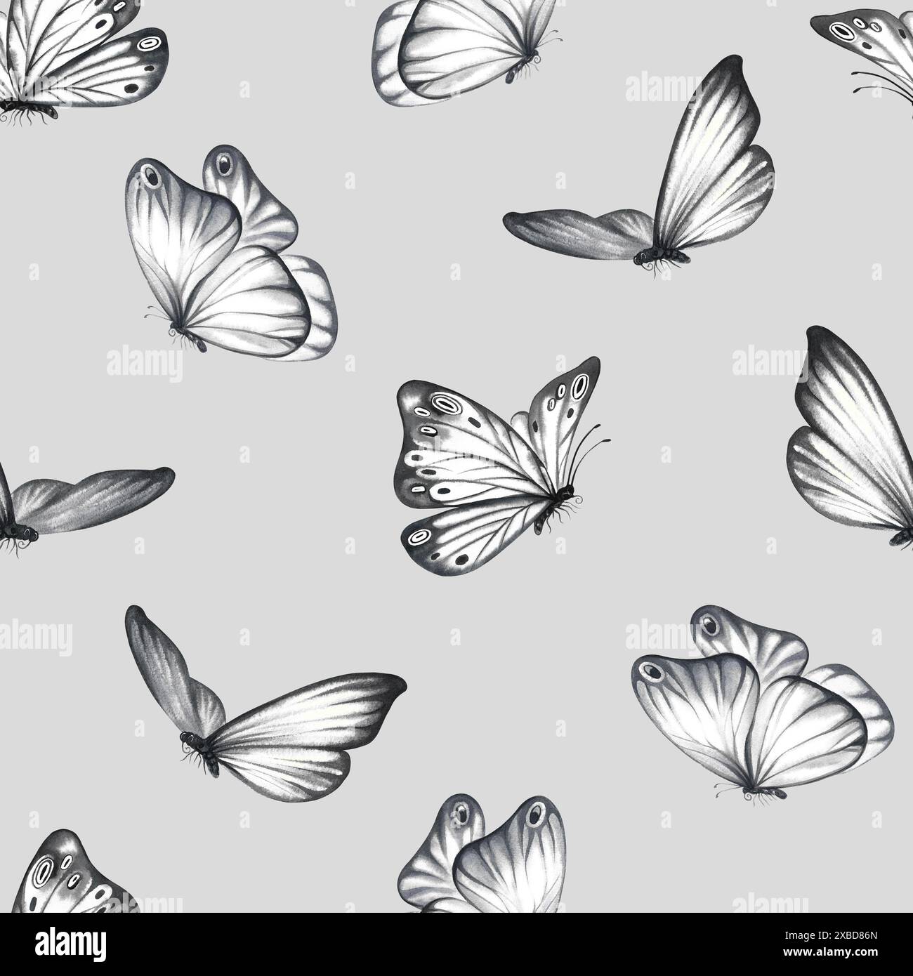 Seamless pattern with grey flying butterflies on a grey background. A ...