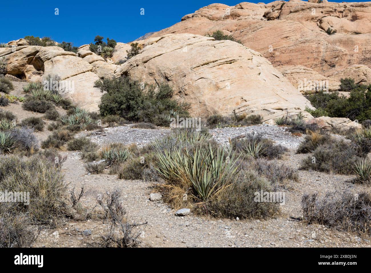 Red Rock Canyon, Nevada. Agave Roasting Pit along Trail to Calico Tanks ...