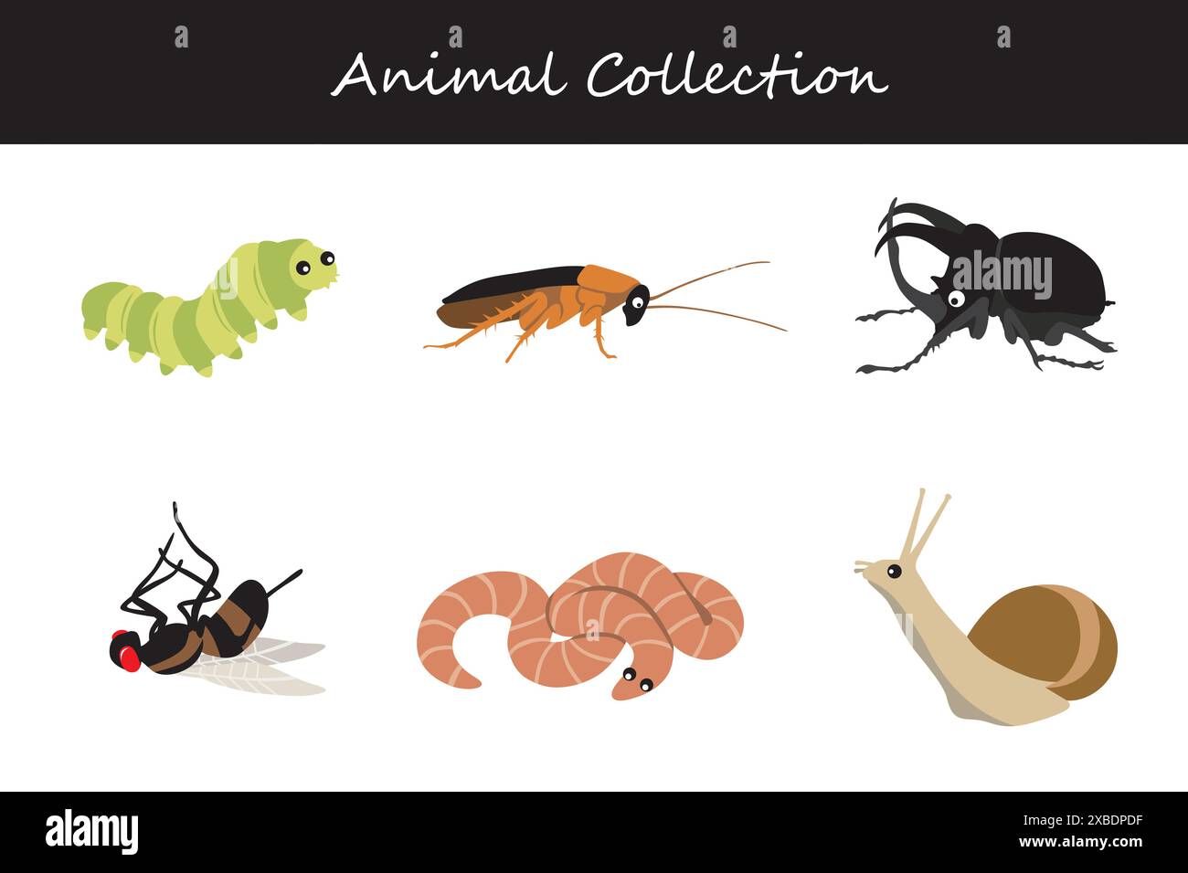 Animals collection isolated on whte background. Flat style vector ...