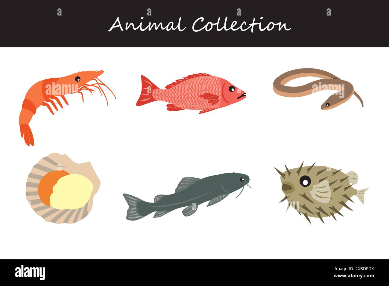 Animals collection isolated on whte background. Flat style vector ...