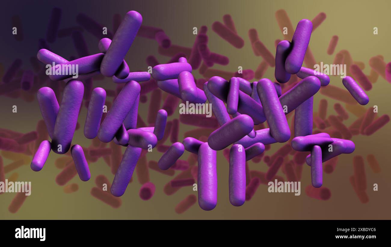 Shigella bacteria structure medical concept Stock Photo - Alamy