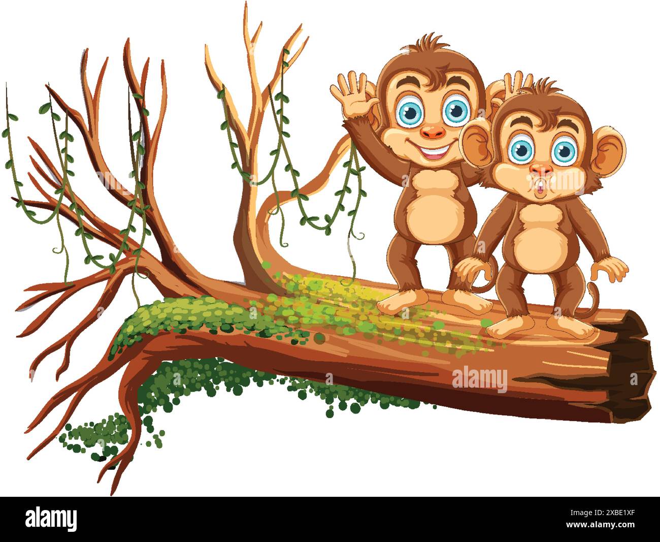 Family monkeys on branches tree hi-res stock photography and images - Alamy