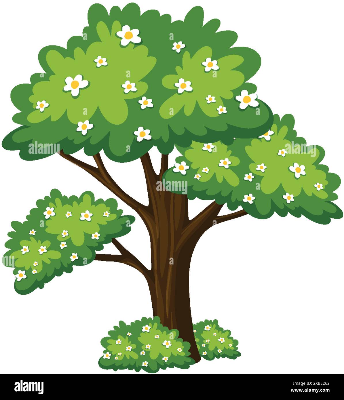 White flowers shade Cut Out Stock Images & Pictures - Alamy