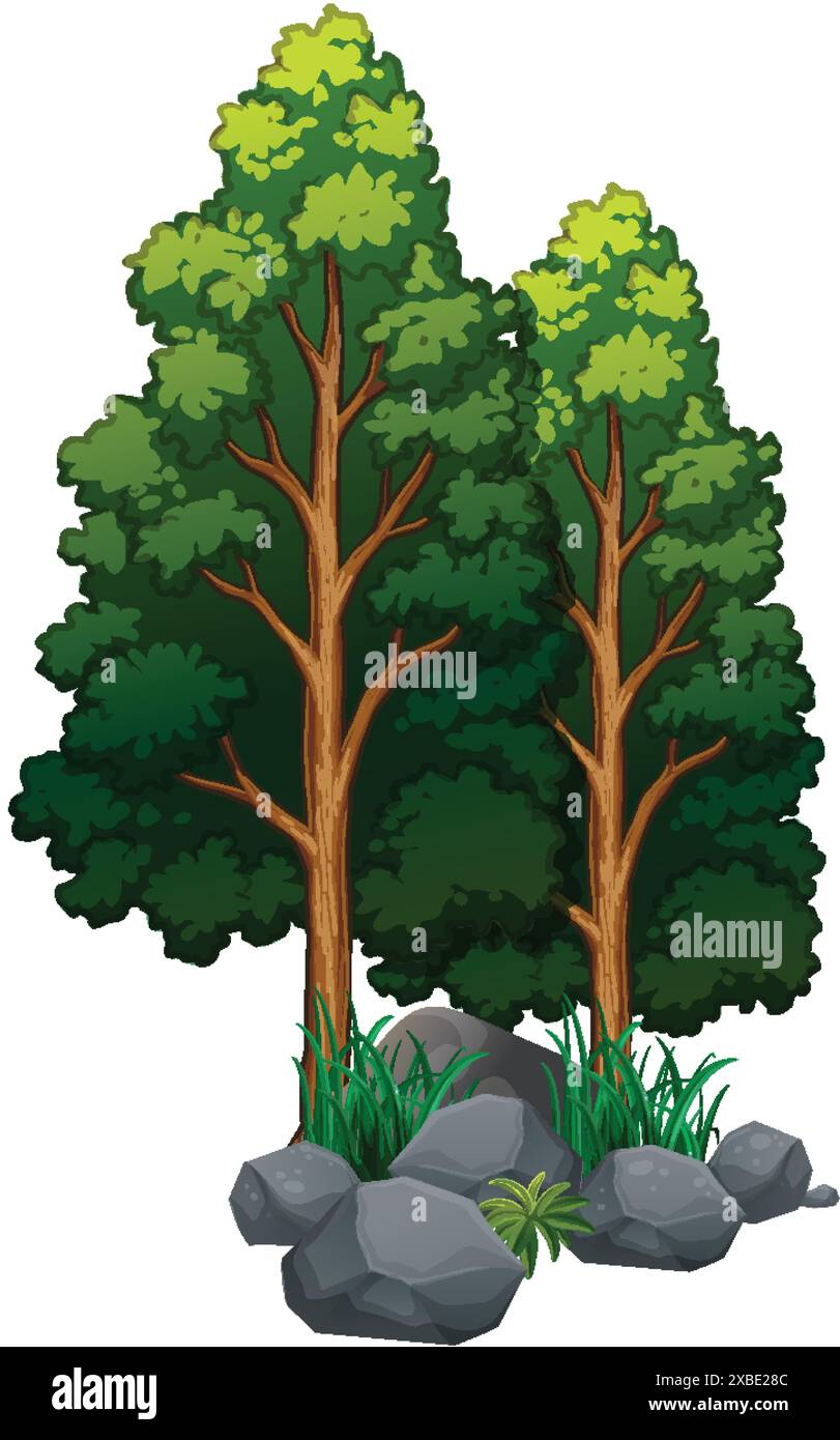 Trees greenery shade Cut Out Stock Images & Pictures - Alamy