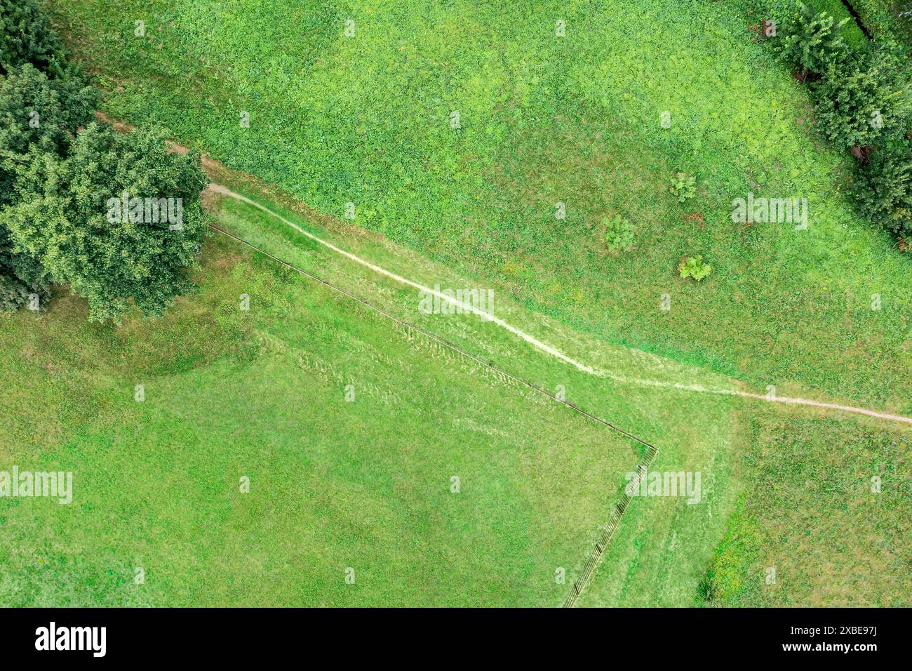 summer countryside landscape with green grass, trees and footpath ...