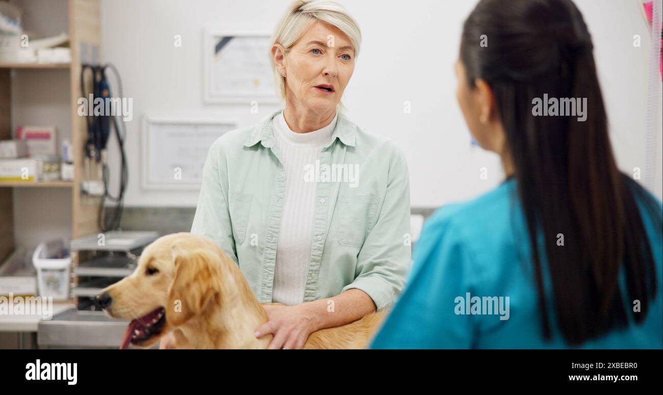 Woman, veterinary and consulting owner with dog for animal care, visit ...