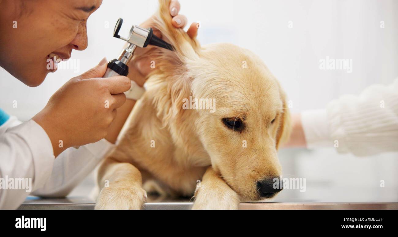 Hearing assessment hi-res stock photography and images - Alamy