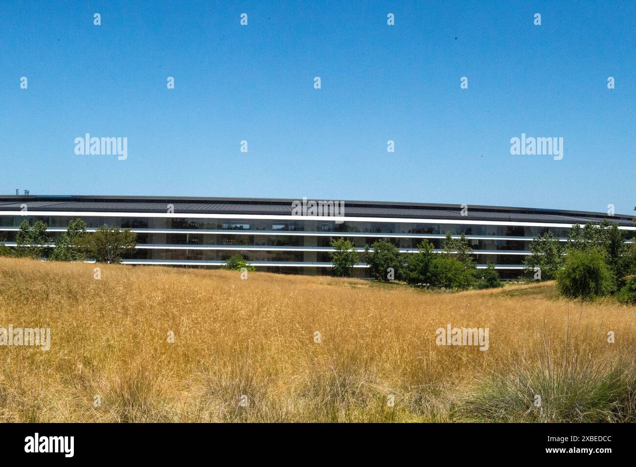 Cupertino, USA. 10th June, 2024. The ring-shaped main building of the ...
