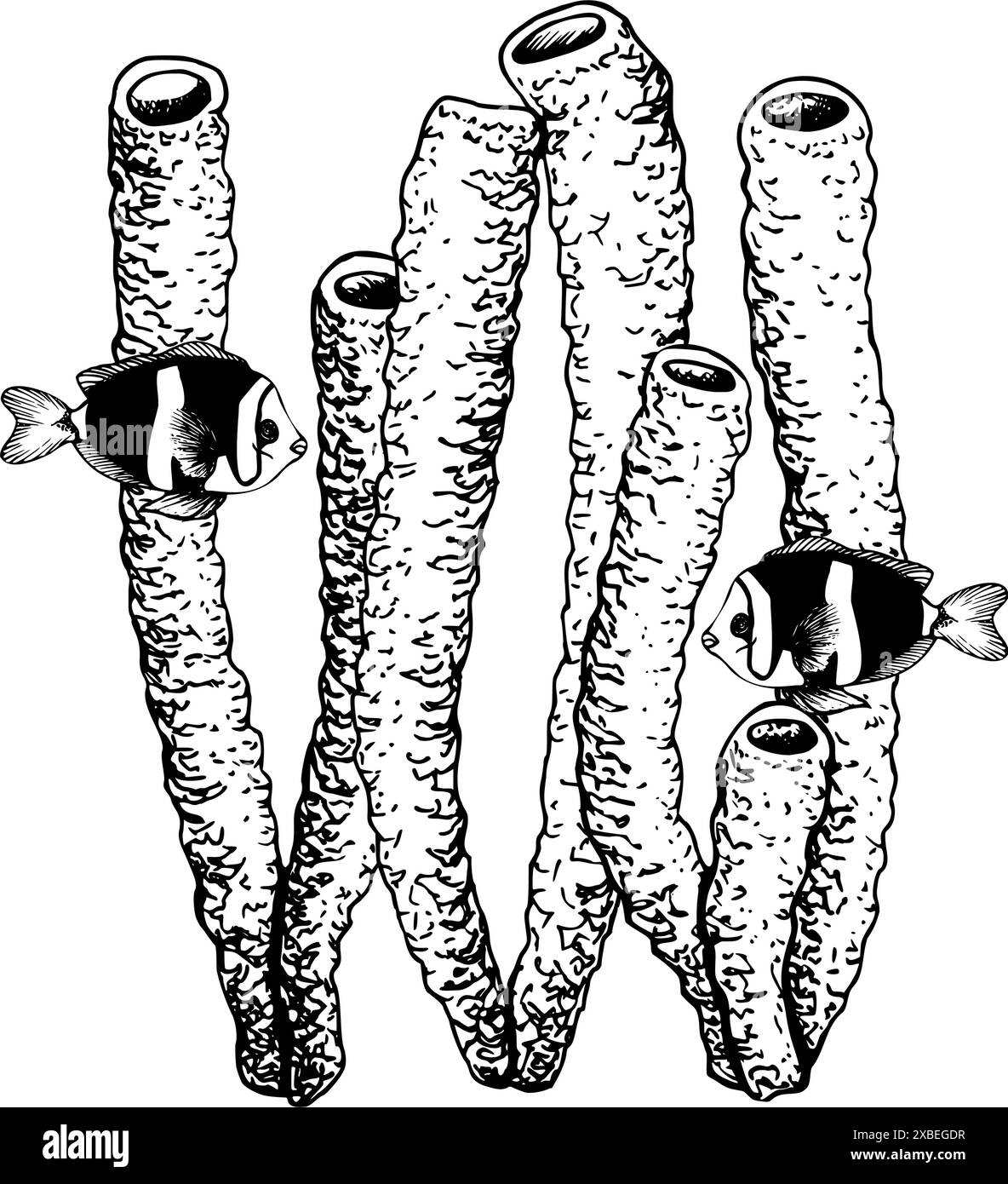 Anemonefish cartoon Black and White Stock Photos & Images - Alamy