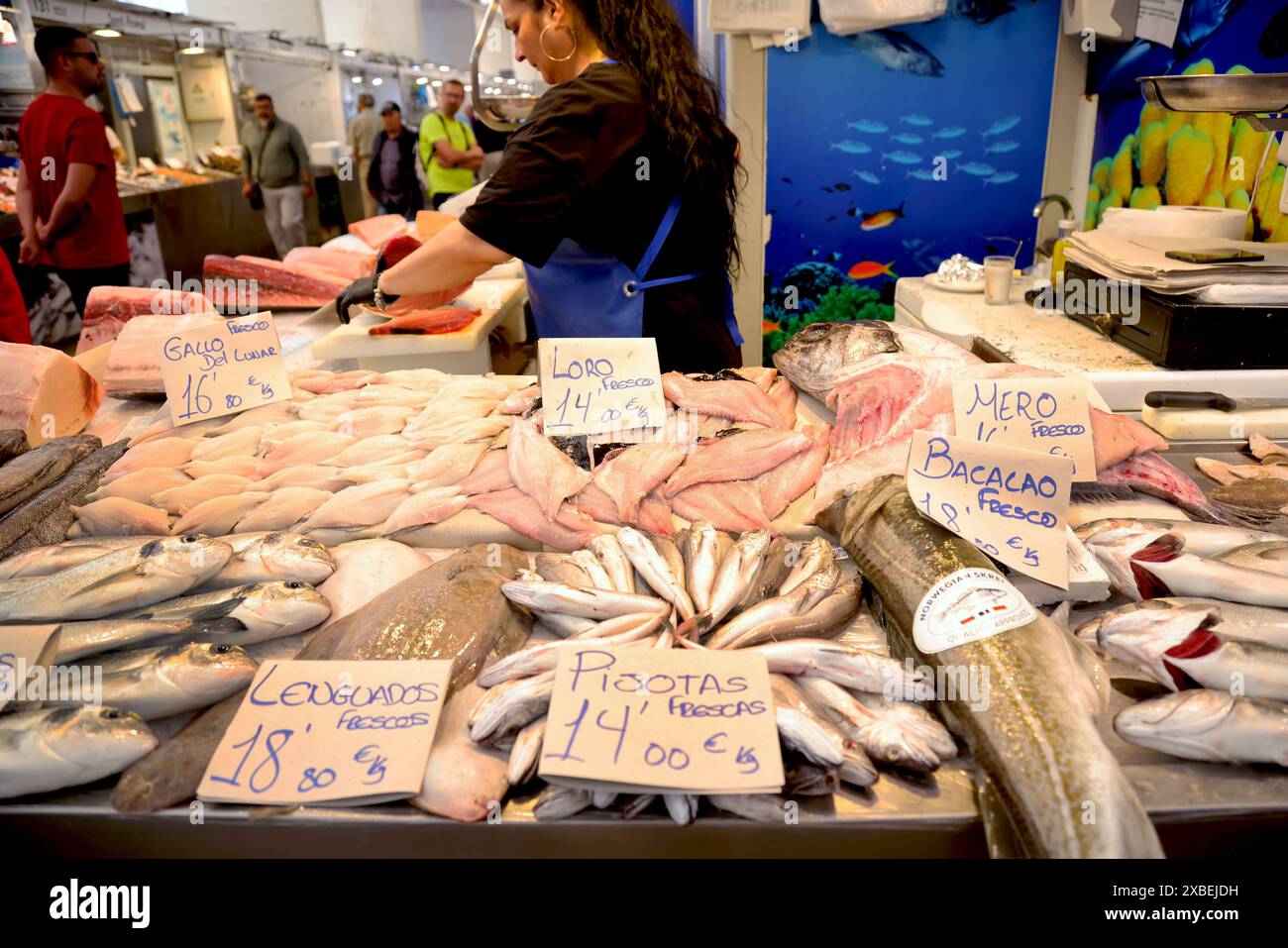 Hake, Sole, Parrot fish and Cod on display at the fish market in Cadiz; Spain. Also known as ...