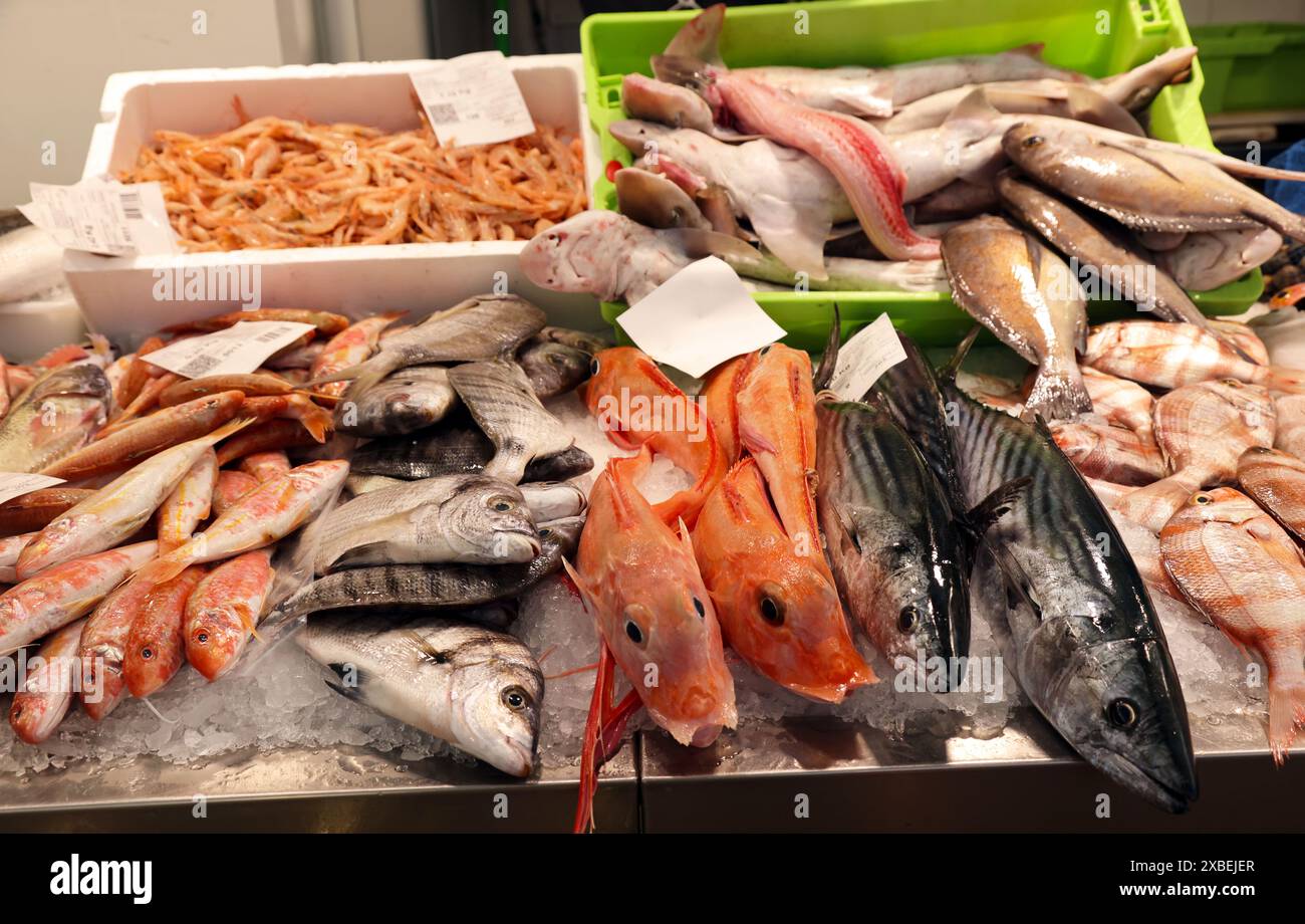 The fish market in Cadiz; Spain. Also known as Mercado Central de ...