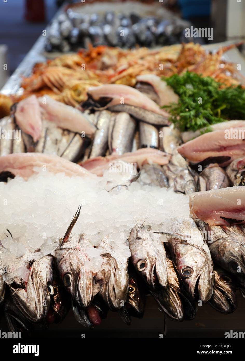 The fish market in Cadiz; Spain. Also known as Mercado Central de ...
