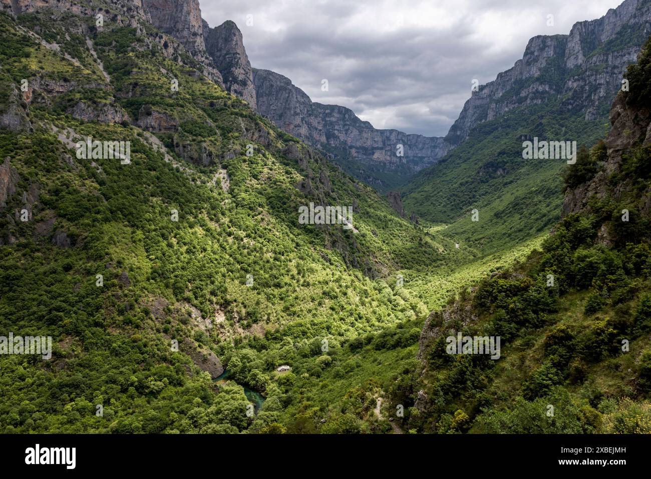 A panoramic view of the Vikos Gorge in Greece, showcasing the lush greenery of the valley floor ...
