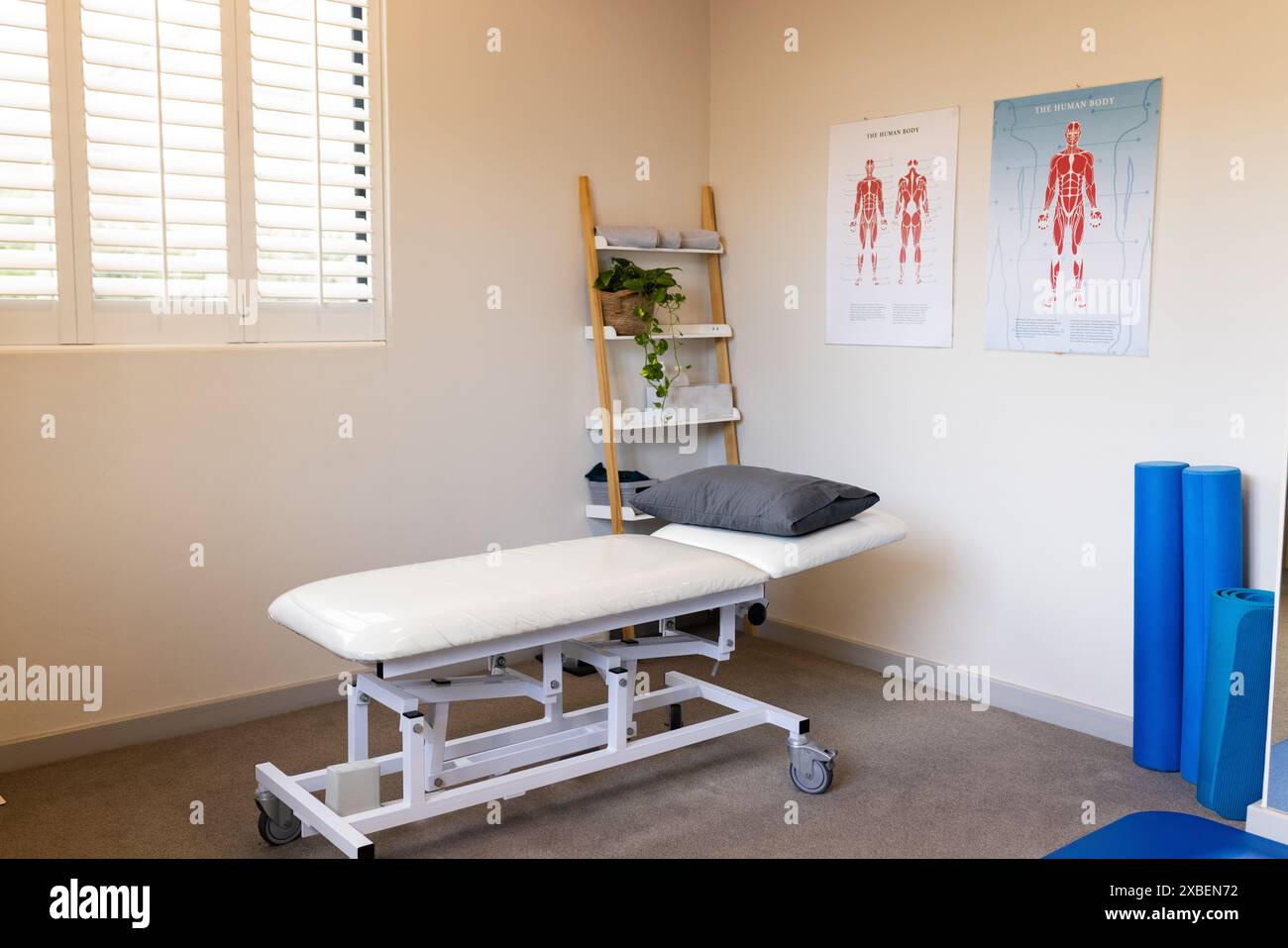 Empty prosthetic lab with white examination table and anatomical ...