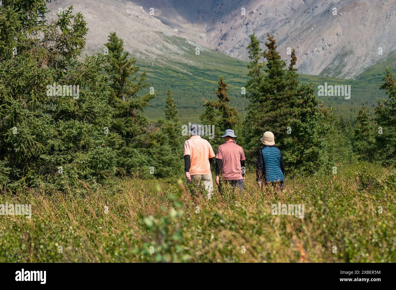 Three tourists enjoying the walk at Denali National Park and Preserve ...