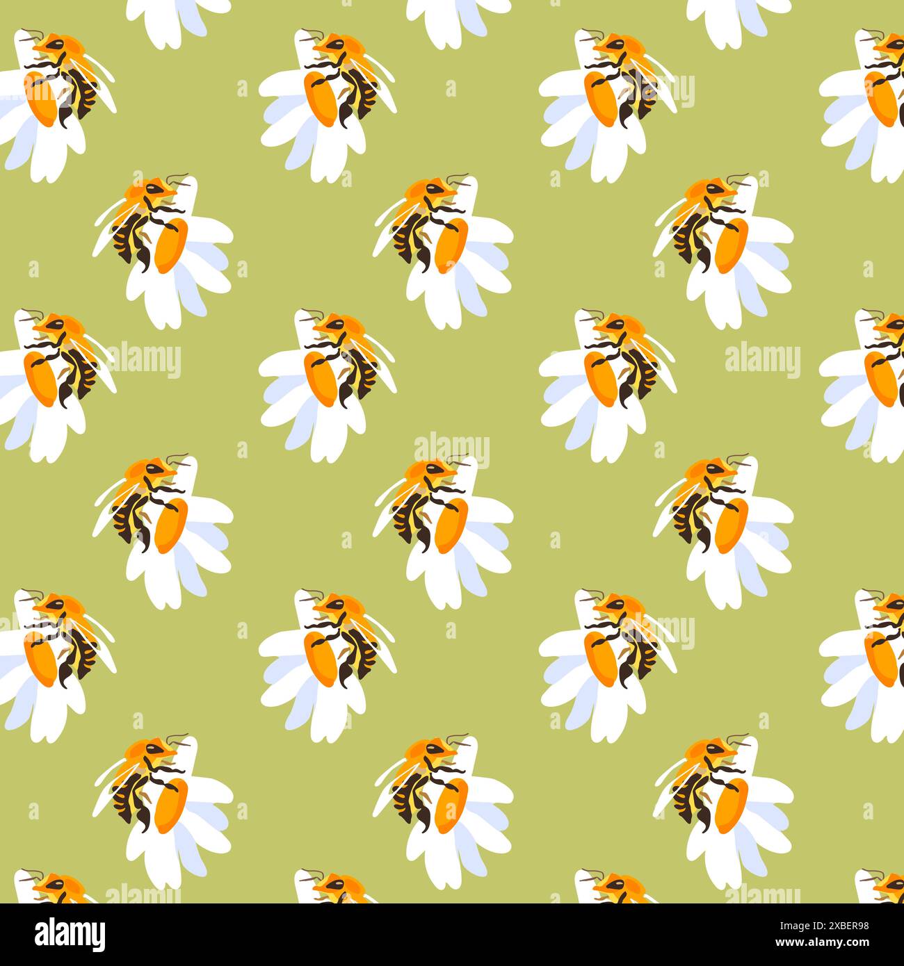 Summer background daisy bee Lime green seamless pattern spring white ...