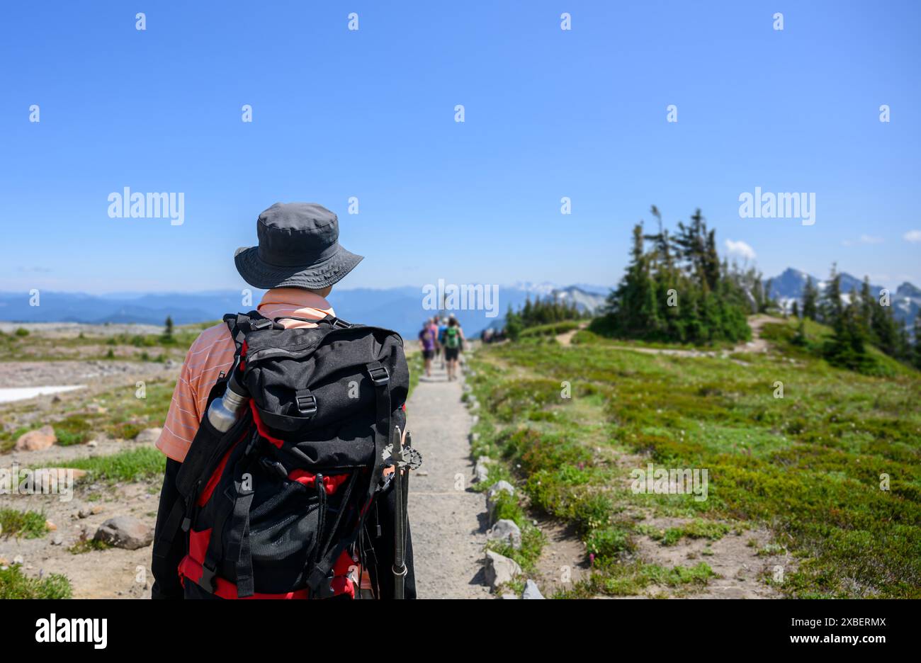Man hiking at Skyline Loop Trail in summer. Unrecognizable crowd of ...
