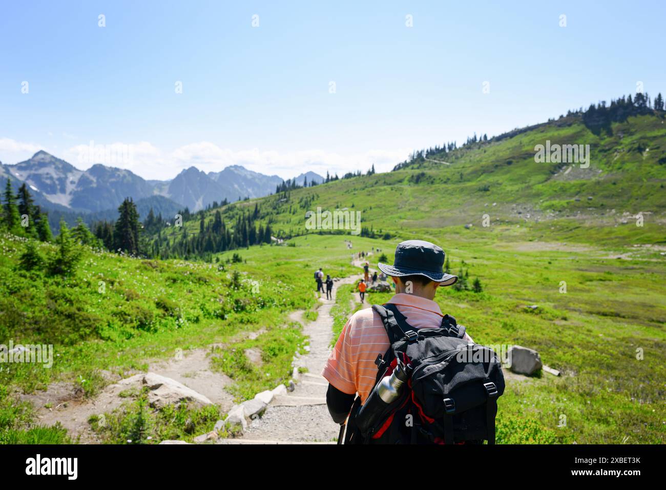 Man hiking at Skyline Loop Trail in summer. Unrecognizable crowd of ...