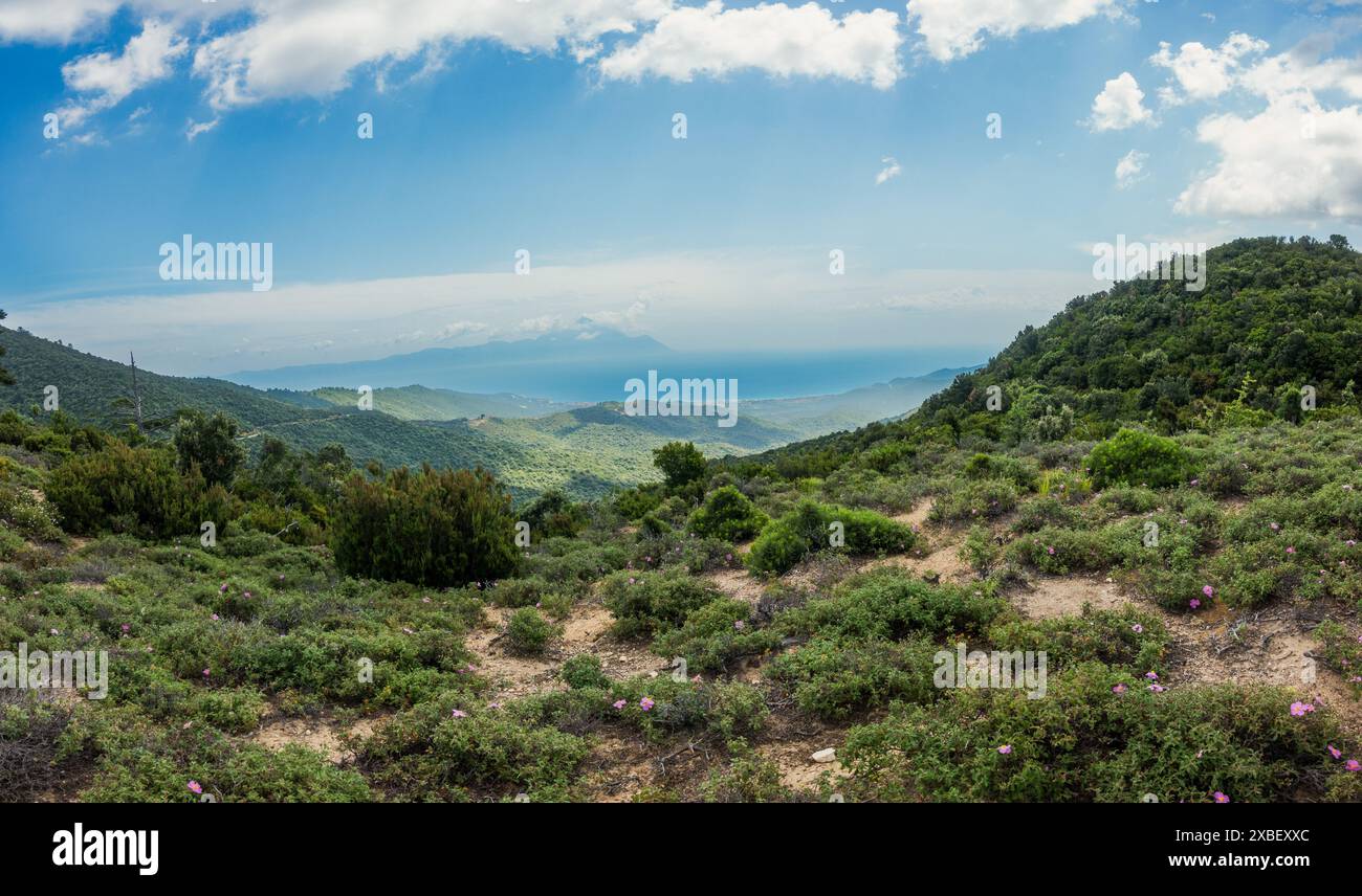 Photo of the inland landscape of Sarti, Greece. The background shows ...