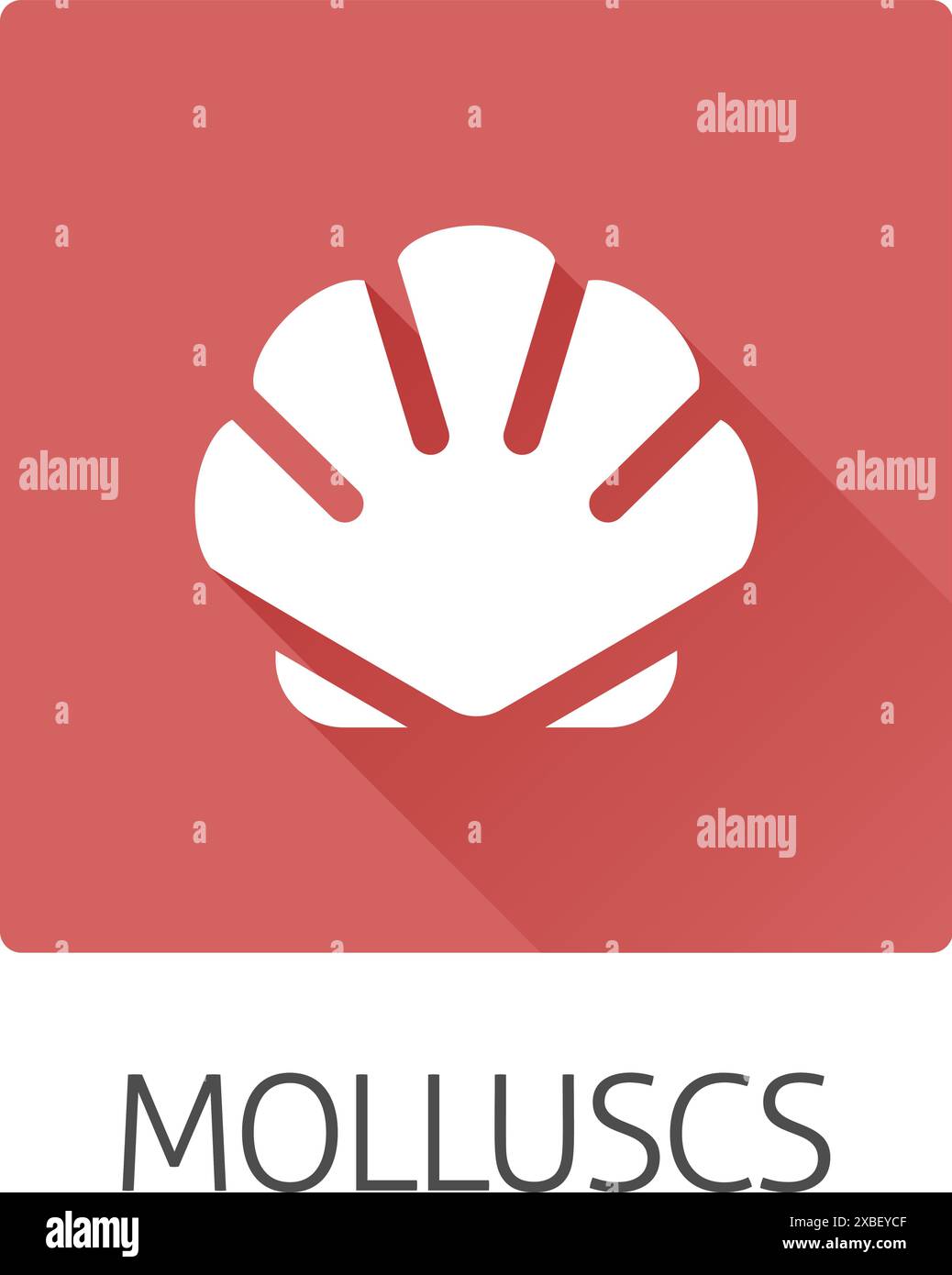 Seashell Shell Clam Mollusc Seafood Food Icon Stock Vector Image & Art ...