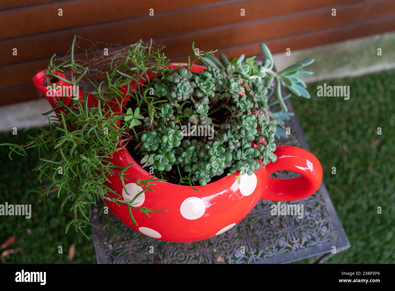 Red teapot shaped plant pot with flowers Stock Photo - Alamy