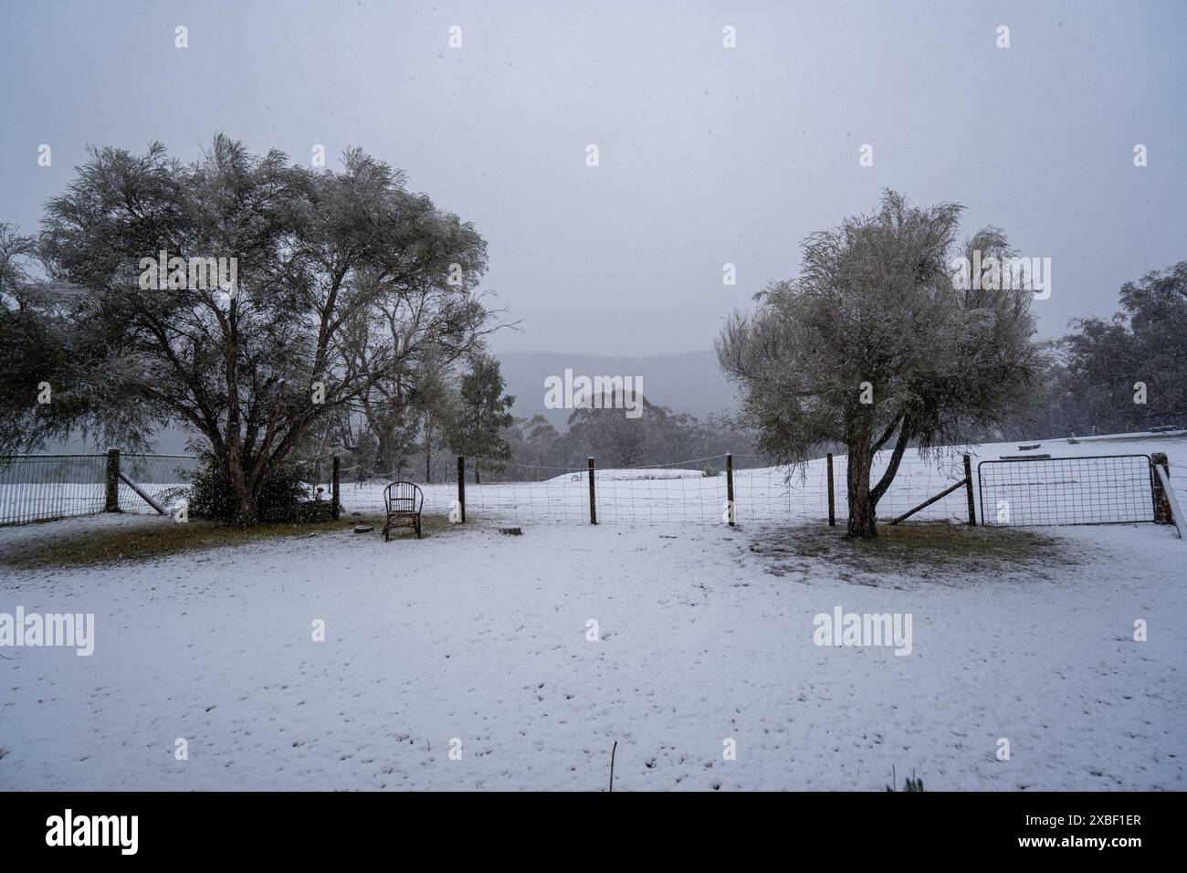 Australian outback farm hi-res stock photography and images - Alamy
